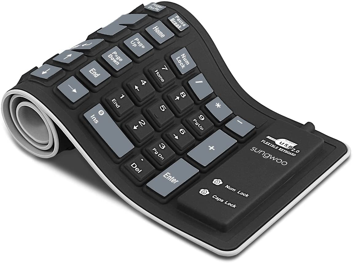 Input Devices eGyanvani